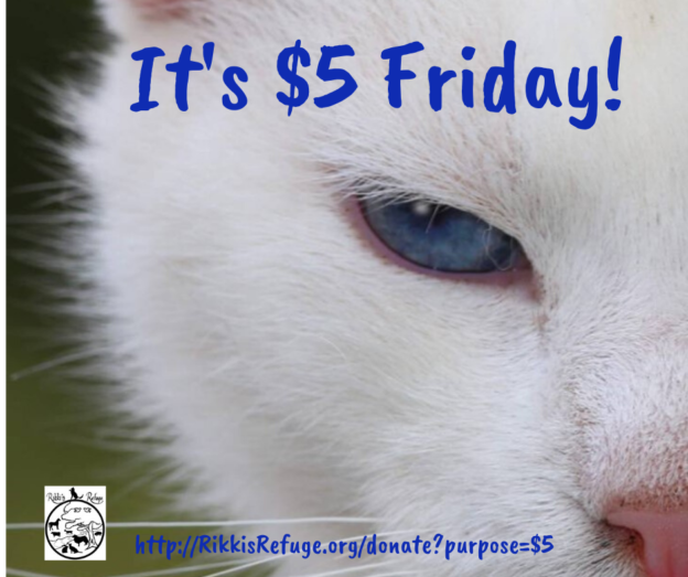 $5 Friday | Rikki's Refuge Animal Sanctuary